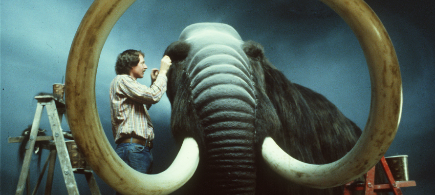 Home - Learning Portal